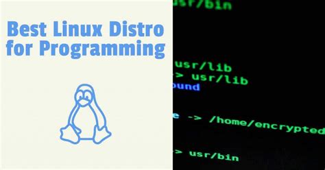 Image result for Best Linux Distro for Programming