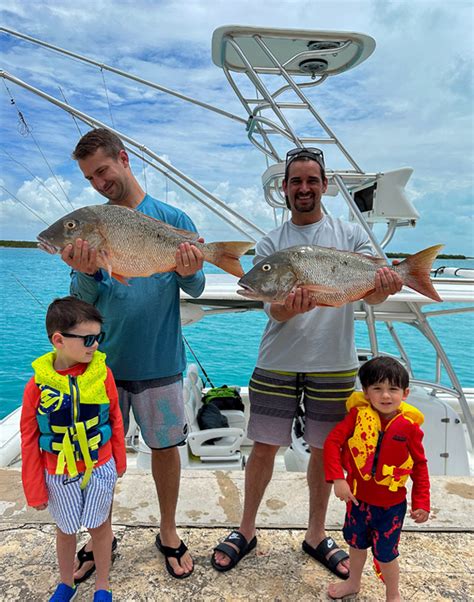 Image result for Reef Fishing Tips