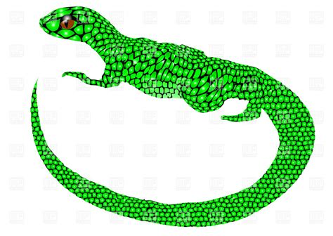 Image result for Simple Lizard