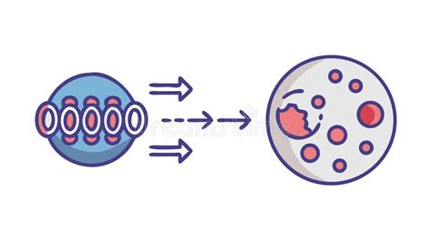 Image result for Cell Transformation