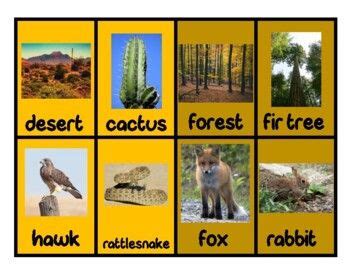 Image result for Science Study Guide 3rd Grade