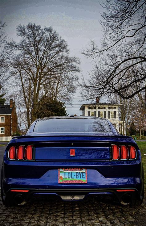 Image result for Fun License Plates