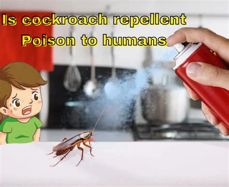 Image result for Poisonous Cockroach