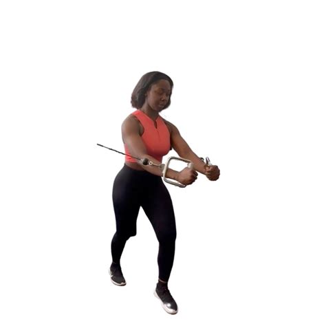 Image result for Cable Fly Exercise