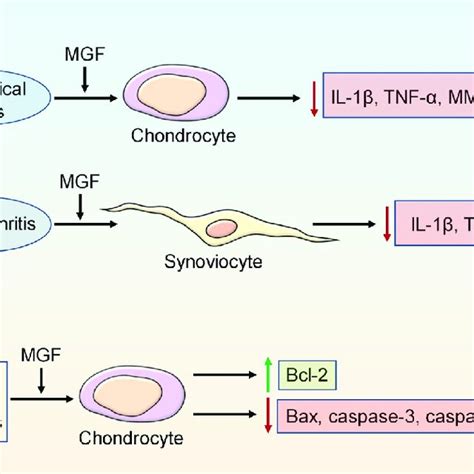 Image result for MGF Problems