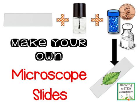 Image result for Preparing Simple Microscope Slides