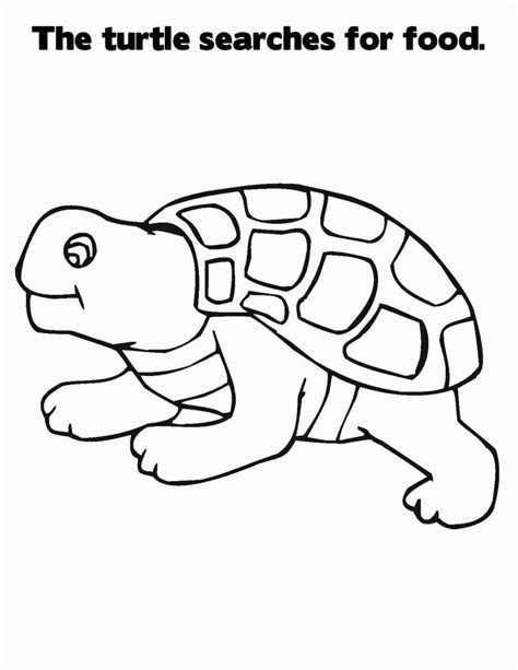 Cartoon Turtle Coloring Pages - Coloring Nation