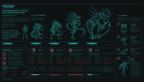 Image result for Xenomorph Types List