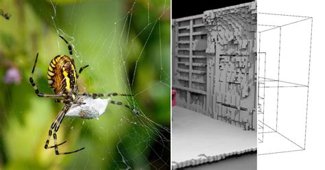 Image result for Vision Tutorials