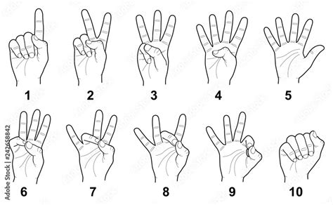 Image result for German Sign Language Numbers Human Hand