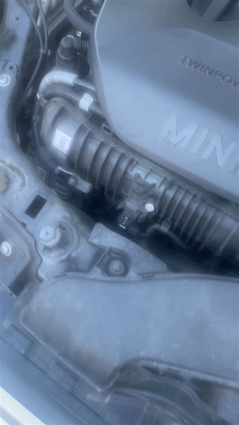 Image result for Mini Cooper Fish Screaming