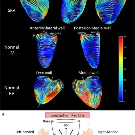 Image result for PS Line Script
