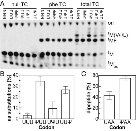 Image result for RNA Modification