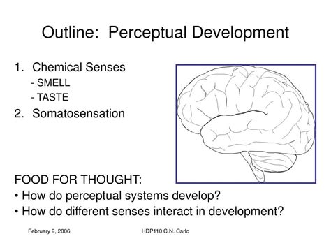Image result for Perceptual Development Definition