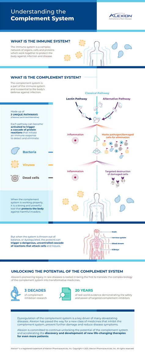 Image result for Complement System Diagram Easy
