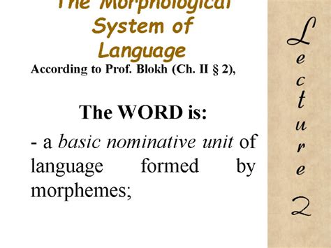 Image result for Morphological System Examples