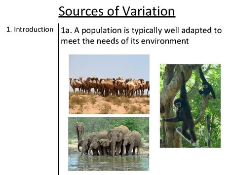 Image result for Sources of Variation