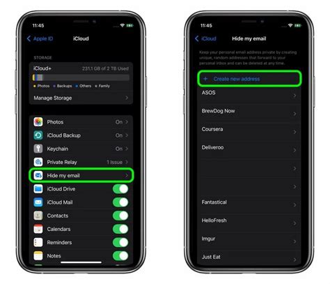 Image result for Using an iPhone 13