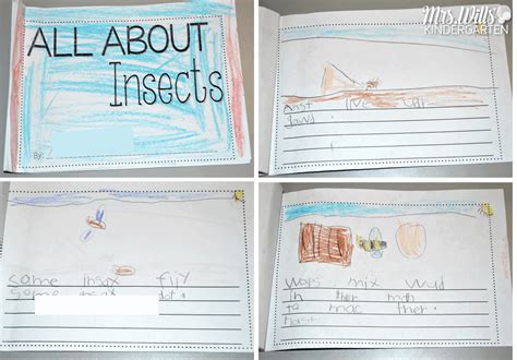 Image result for Insects Lessons