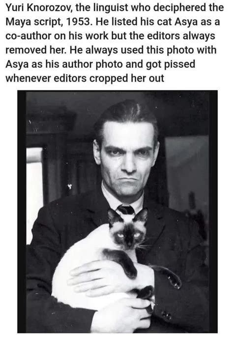 Image result for Stranglehold Meme