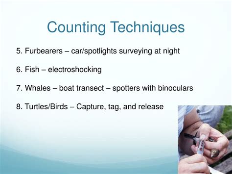 Image result for Breed Method for Counting Totacal Count How Counting Is Done