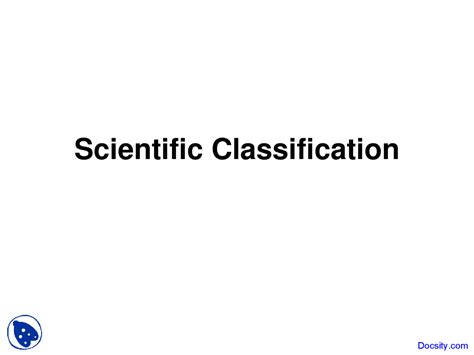 Image result for Science Class of Classification Examples