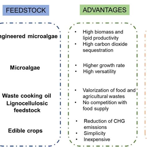 Image result for Biofuel Types