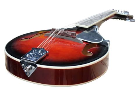 Image result for Mandolin String Types