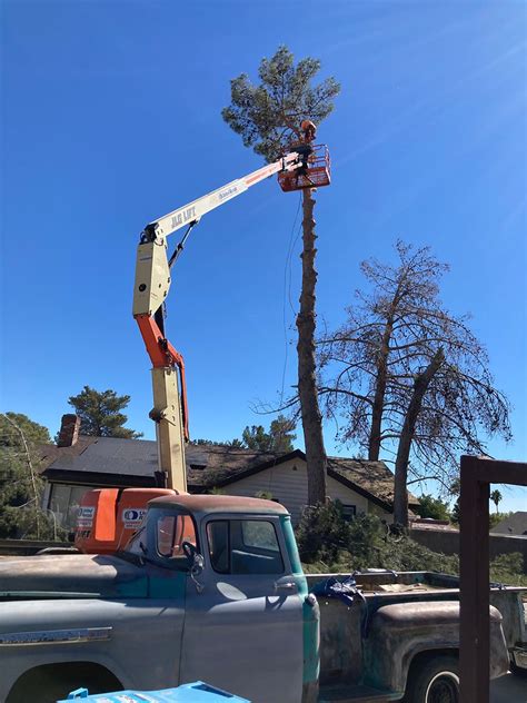Image result for Engine Lift On a Tree