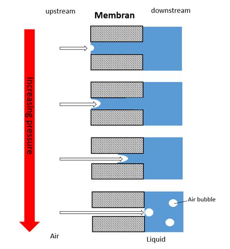 Image result for Bubble Point Filter Integrity Test Chart Diffusion vs Pressure