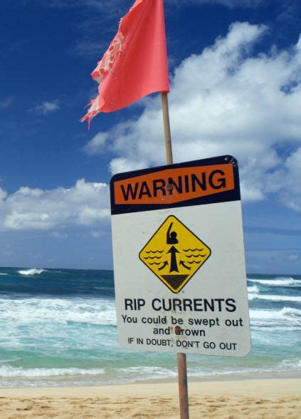 Image result for Rip Current Signs
