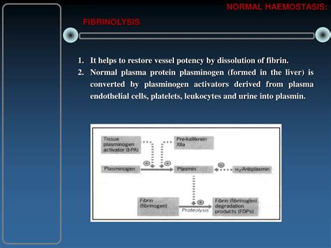 Image result for Normal Haemostasis