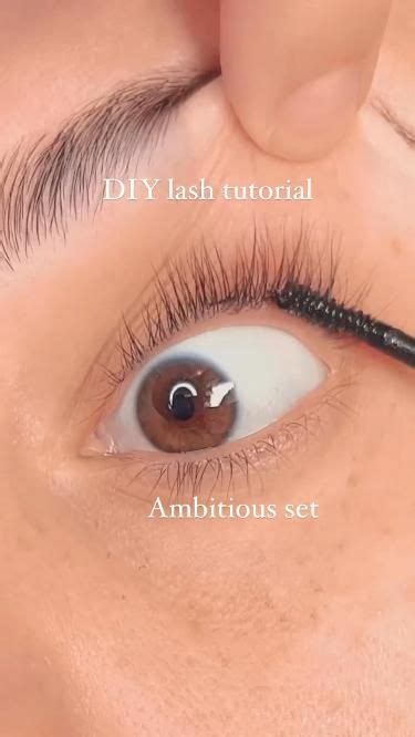 Image result for Lash Extensions DIY Tutorial
