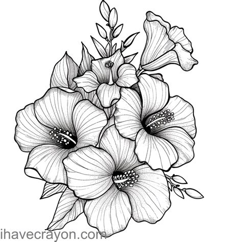 Image result for Coloring PDF