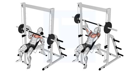 Image result for Bench Chest Fly