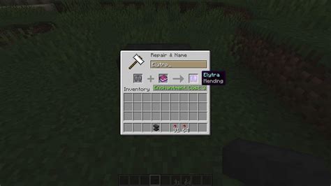 Image result for Elytra Guide