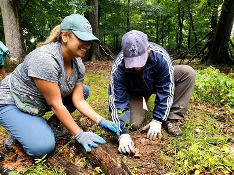 Image result for Stewardship Program