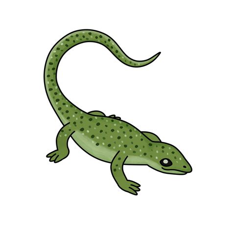 Image result for Simple Line Drawings Lizard