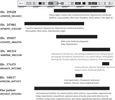 Image result for Duplication Chromosome Microarray