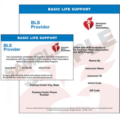 Image result for HeartCode BLS Instructors Course