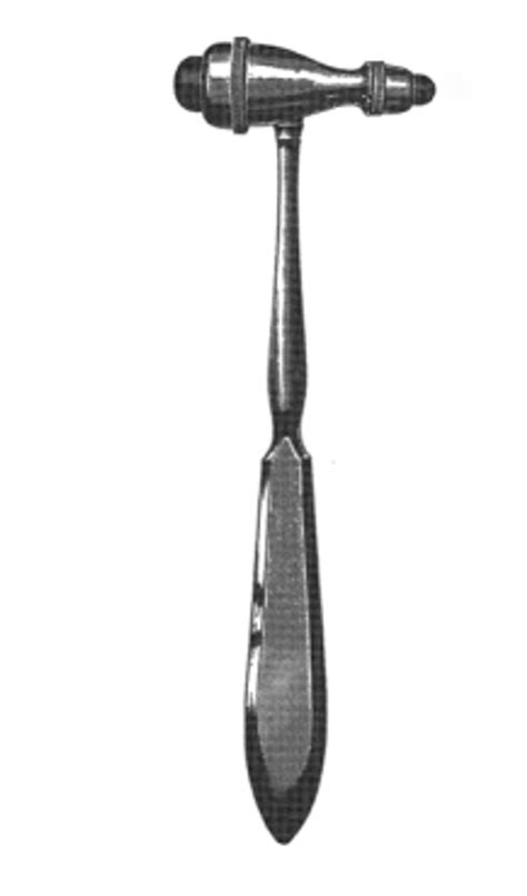 Image result for Tromner Sign Demonstration