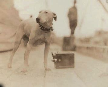 Image result for Patsy Ann