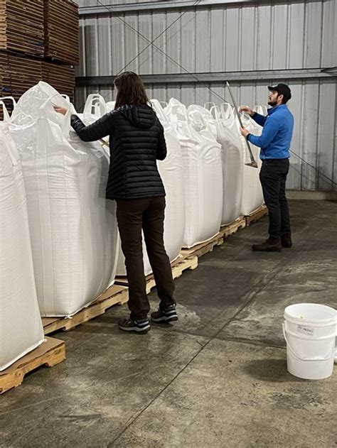 Image result for Sampling Feed