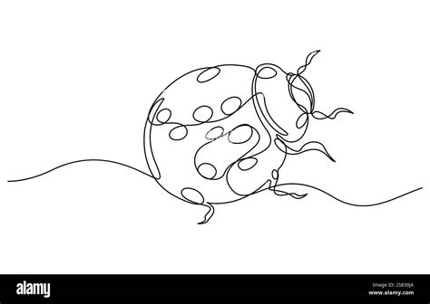 Image result for Ladybug Line Drawing