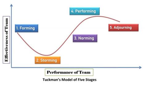 Image result for Tuckman Model Chart