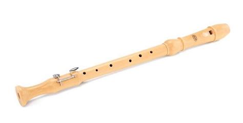 Image result for Tenor Recorder Performance