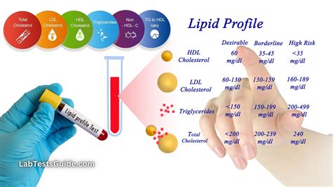 Image result for Lipid Profile Testing