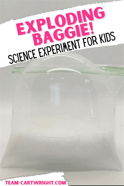 Image result for The Exploding Bag