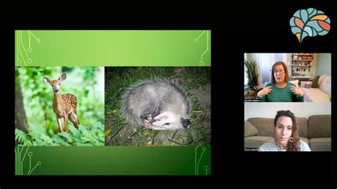 Image result for Developmental Trauma Bruce Perry