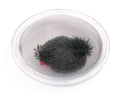 Iron Filings Bubble (Magnetic Experiments) - WordUnited